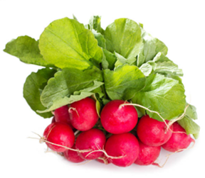 Radis rouge France - Le Panier Fruité