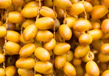 Dattes naturelles Israël - Le Panier Fruité